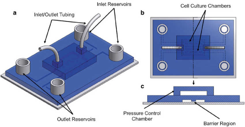Solved Provide the detailed 2D fabrication process flow and | Chegg.com