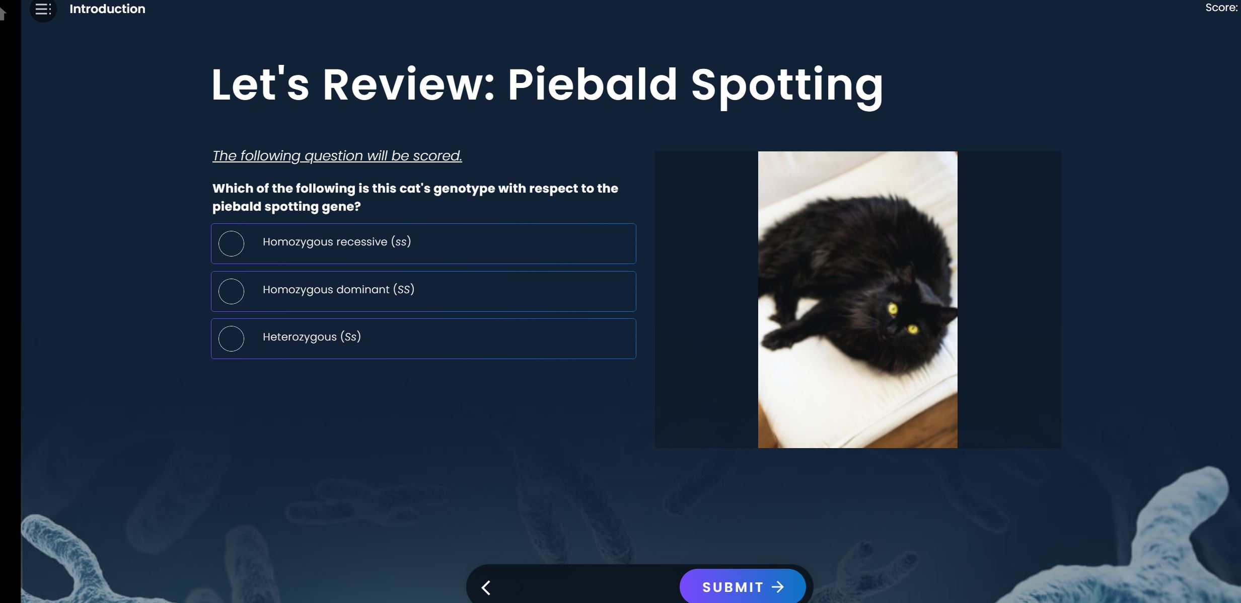 Solved Which of the following is this cat's genotype with | Chegg.com