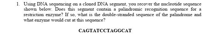 Solved 1. Using DNA sequencing on a cloned DNA segment, you | Chegg.com