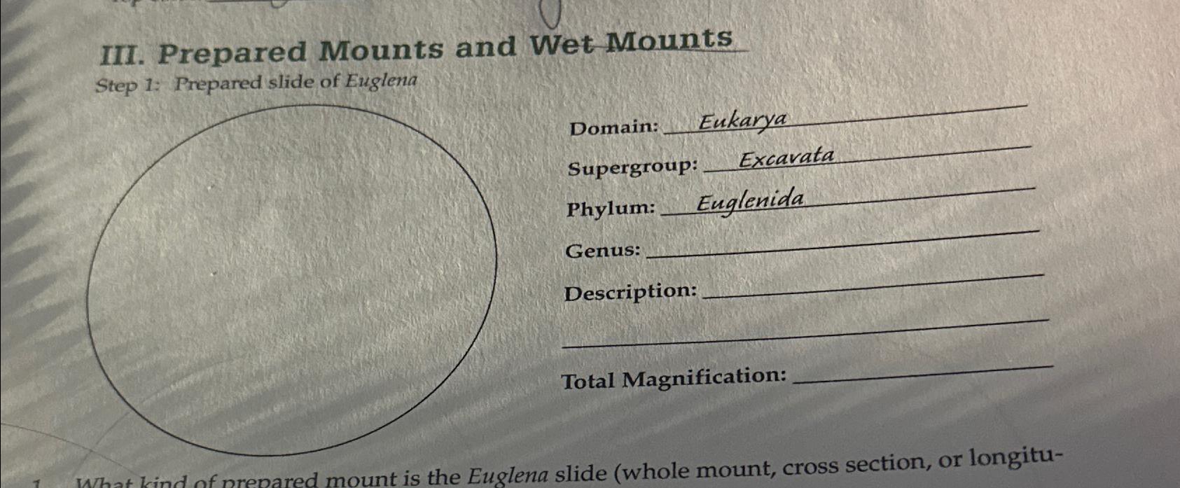 Solved III. Prepared Mounts and Wet MountsStep 1: Prepared | Chegg.com