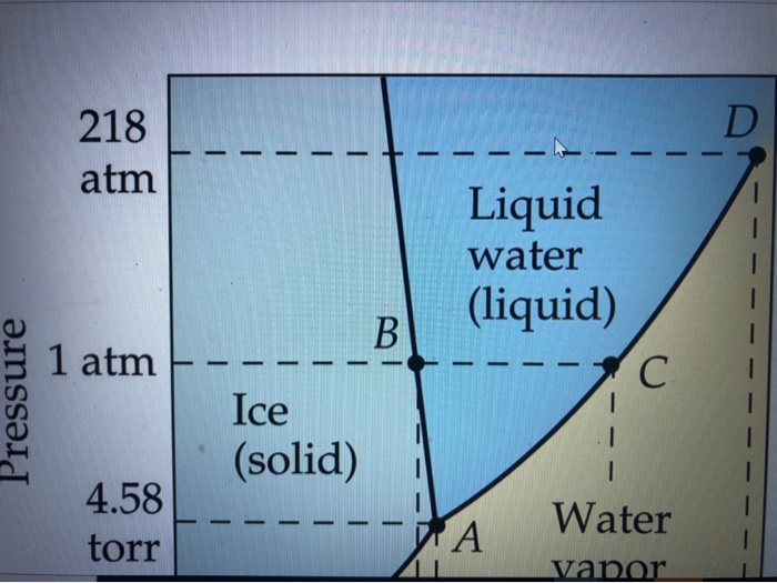 Solved 218 atm - - + - - - - - - Liquid water (liquid) 1 atm | Chegg.com