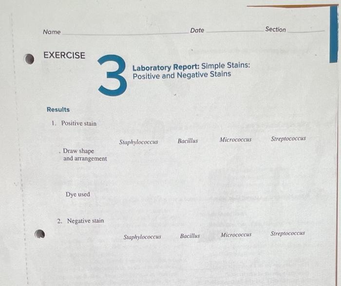 Solved Name Date Section EXERCISE 3 Laboratory Report: | Chegg.com