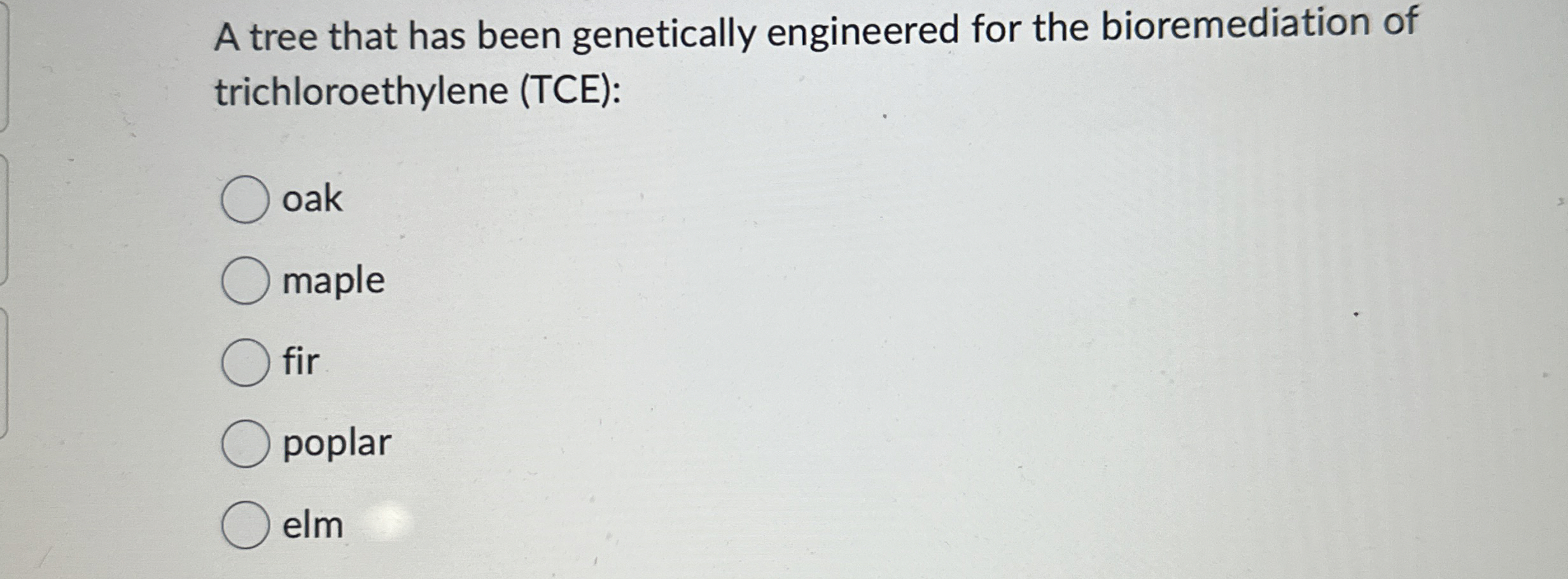 Solved A tree that has been genetically engineered for the | Chegg.com
