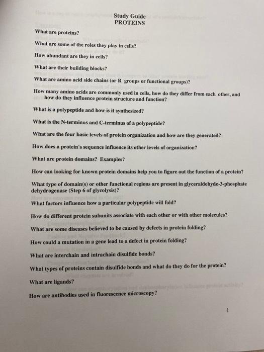 Solved Study Guide PROTEINS What are proteins? What are some | Chegg.com
