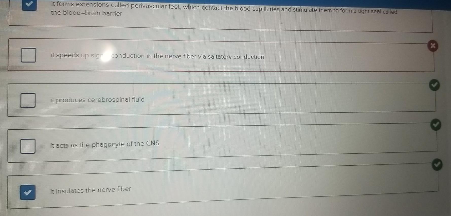 Solved Myelin is important because Check all that apply. | Chegg.com