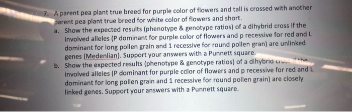 Solved 1. What is a phenocopy? Give an example. 2. What is | Chegg.com