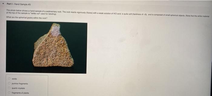 Solved The photo below shows a hand sample of a sedimentary | Chegg.com