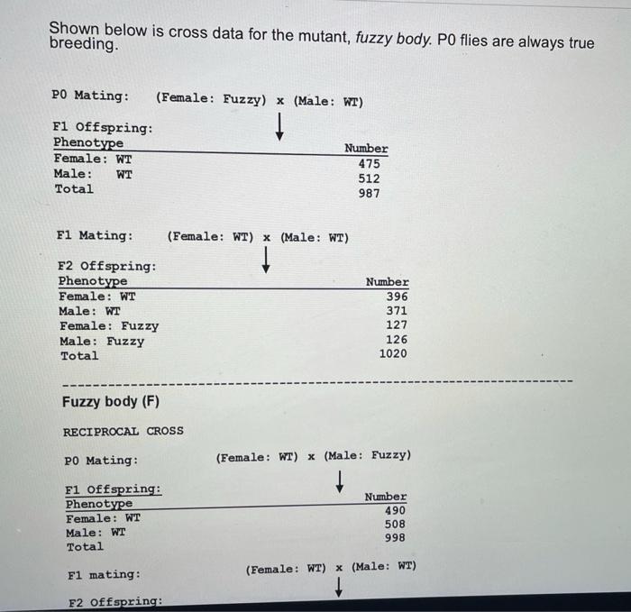 Solved Shown below is cross data for the mutant, fuzzy body. | Chegg.com