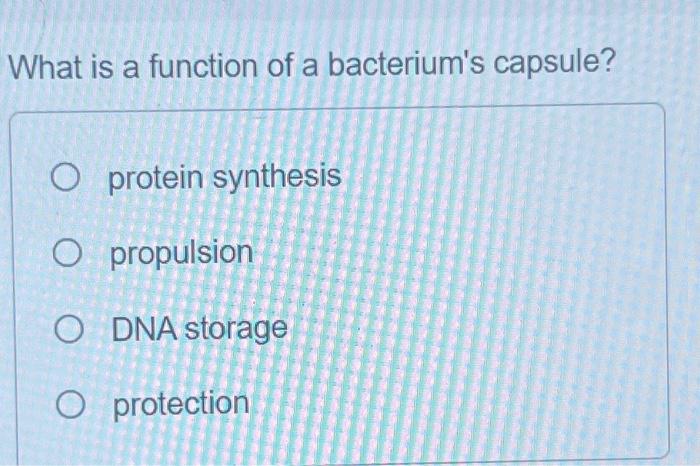 Solved What is a function of a bacterium's capsule? a. | Chegg.com