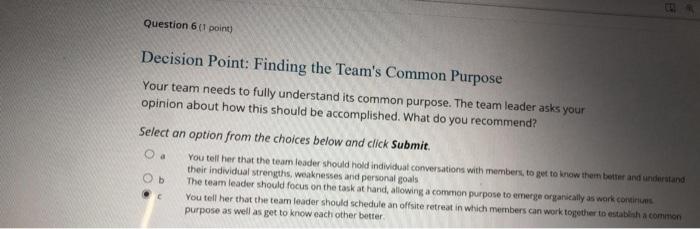 Solved Question 13 points) Decision Point: What Is the | Chegg.com