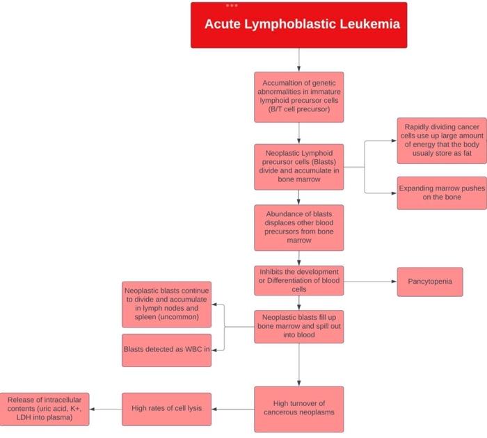 Solved Explaination of the step by step pathophysiology of | Chegg.com
