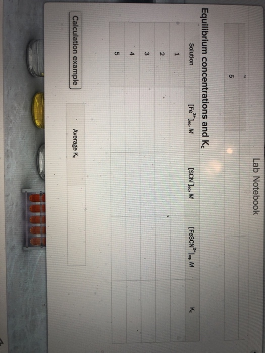Lab Notebook Initial concentrations of Fe and SCN | Chegg.com