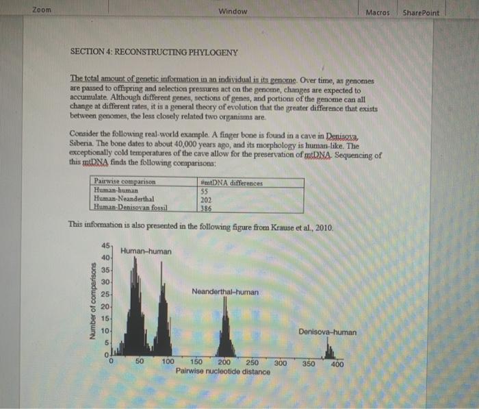 Solved Zoom Window Macros SharePoint SECTION 4: | Chegg.com
