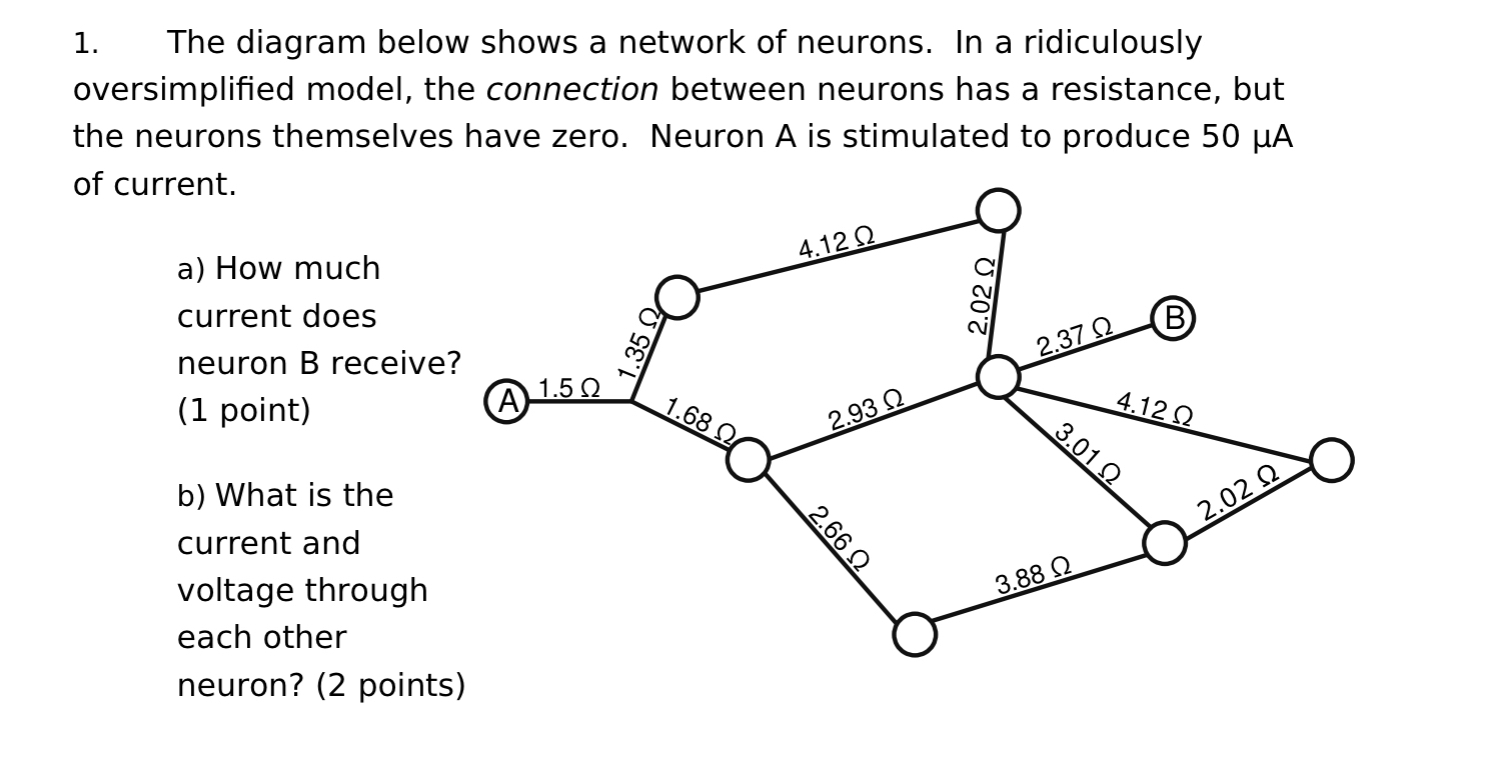 Solved The diagram below shows a network of neurons. In a | Chegg.com