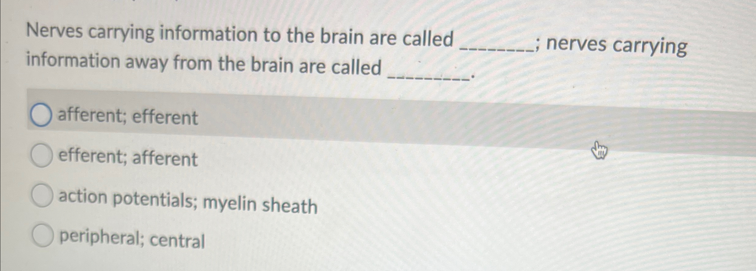 Solved Nerves carrying information to the brain are called | Chegg.com