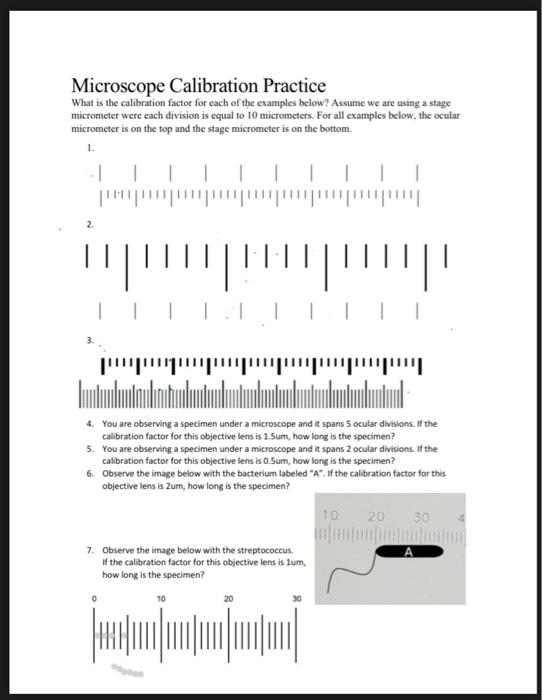 Solved Microscope Calibration Practice What is the | Chegg.com