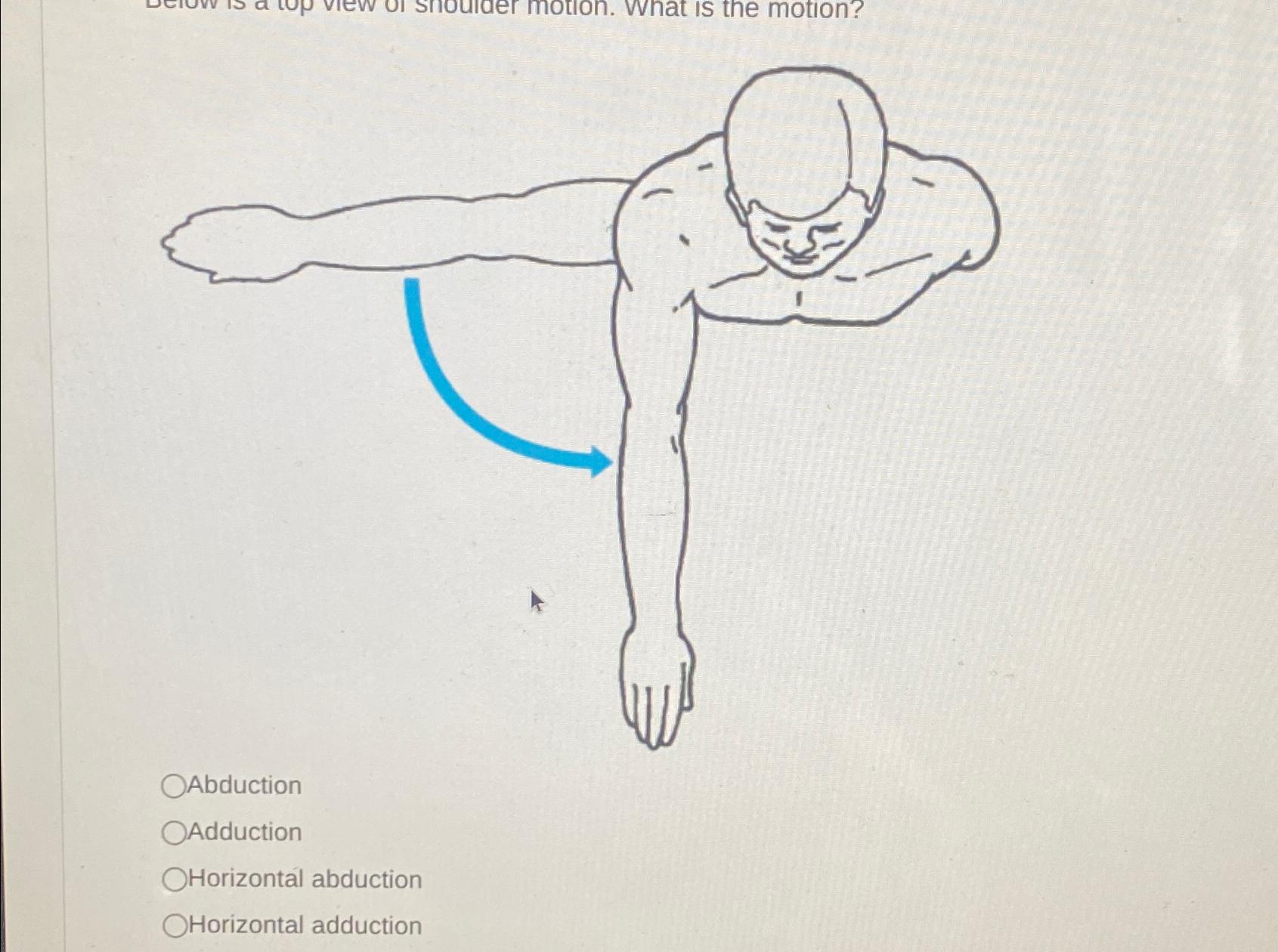 Solved AbductionAdductionHorizontal abductionHorizontal | Chegg.com