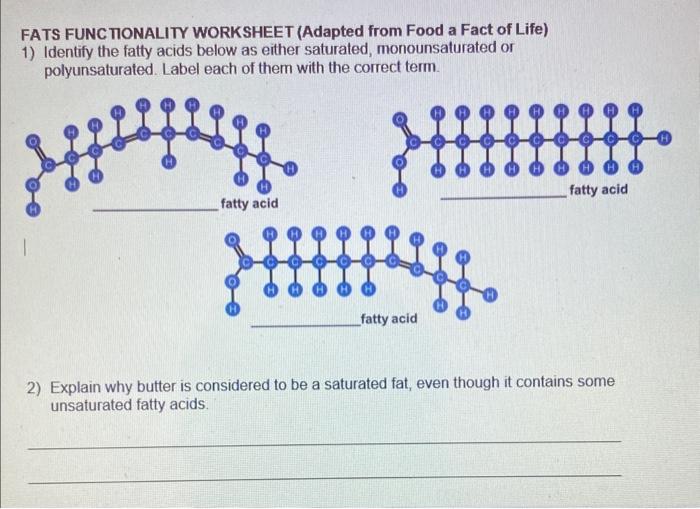 Solved FATS FUNCTIONALITY WORKSHEET (Adapted from Food a | Chegg.com