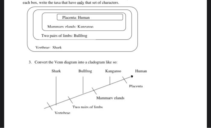 Solved Cladogram Worksheet Convert the following data table | Chegg.com