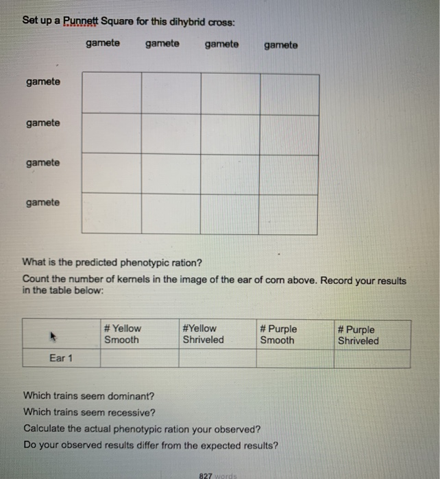 Solved Set up a Punnett Square for this dihybrid cross: | Chegg.com