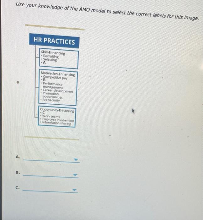 use you knowledge of the AMO model to select the | Chegg.com