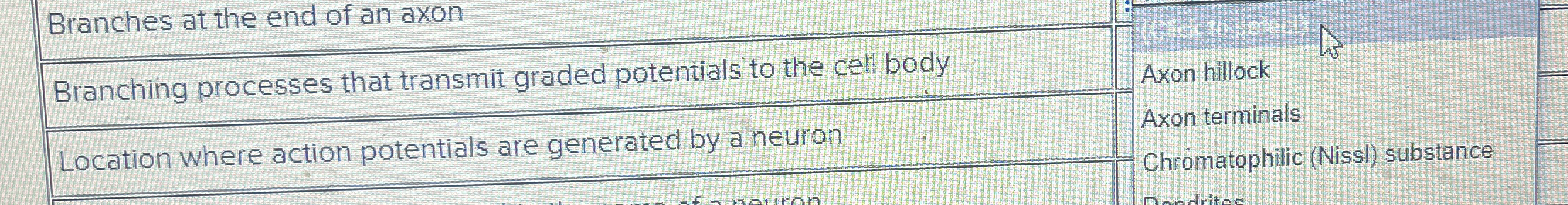 Solved Branches at the end of an axonBranching processes | Chegg.com