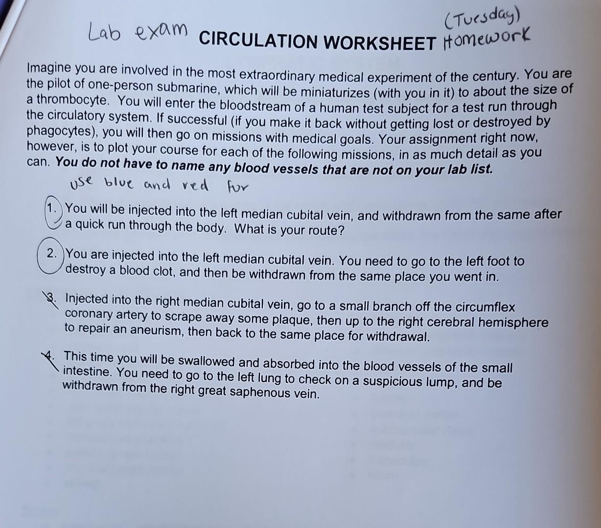 Solved Lab exam CIRCULATION WORKSHEET HOmeworK Imagine you | Chegg.com