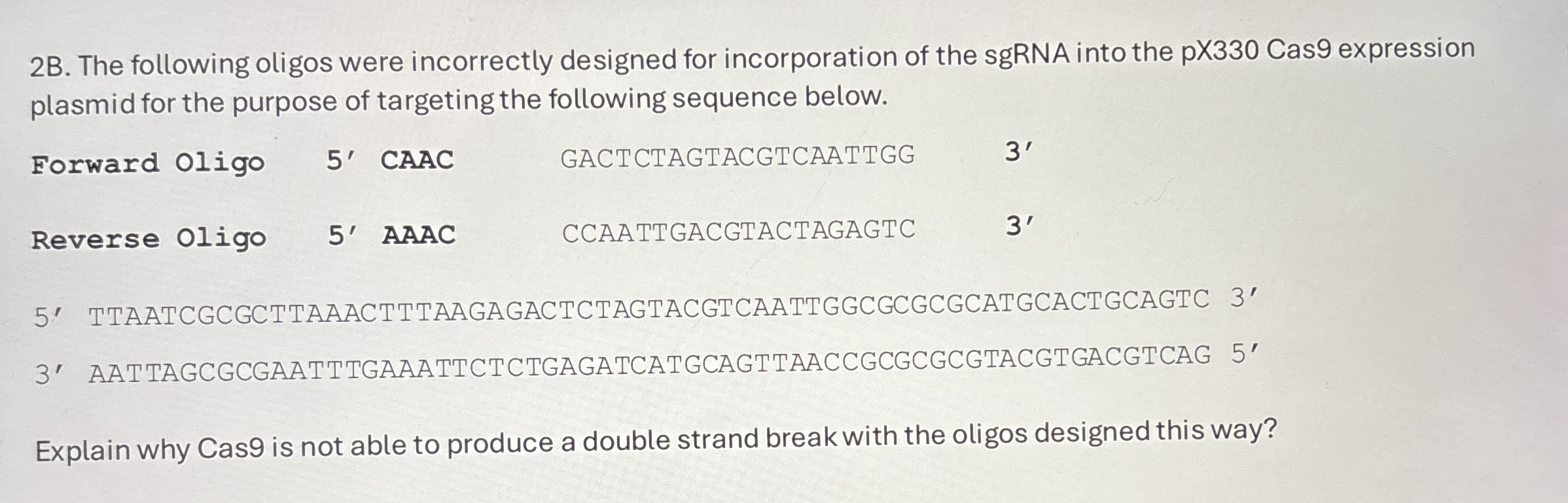 Solved 2B. ﻿The following oligos were incorrectly designed | Chegg.com