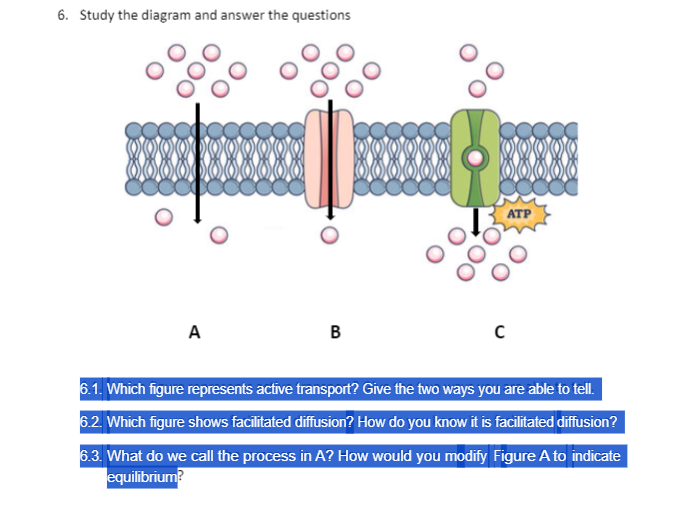 Solved Study the diagram and answer the questionsABC6.1. | Chegg.com