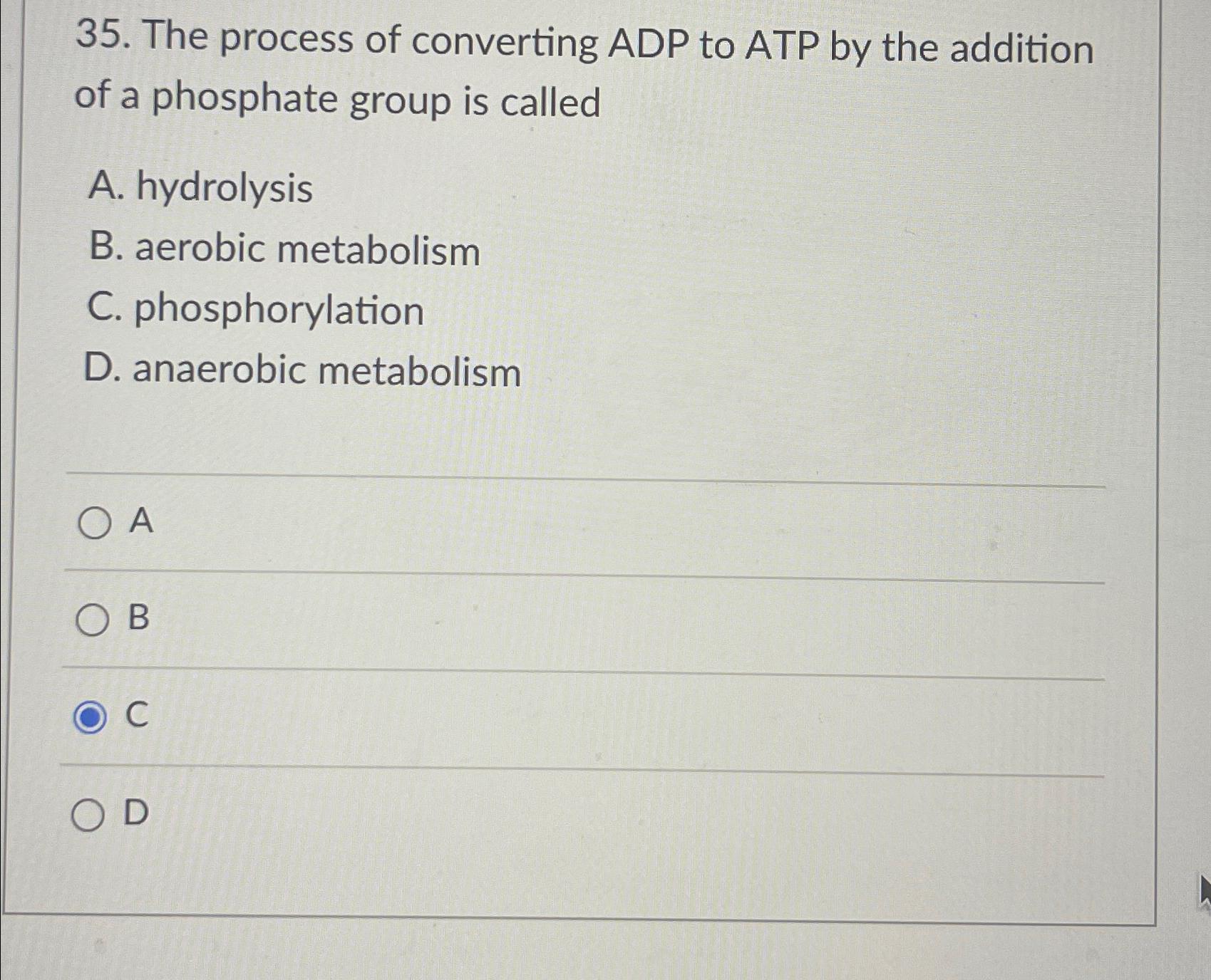 Solved The process of converting ADP to ATP by the addition | Chegg.com