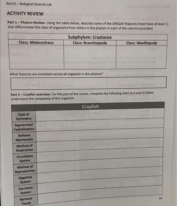 Part 1 - Phylum Review. Using the table below, | Chegg.com
