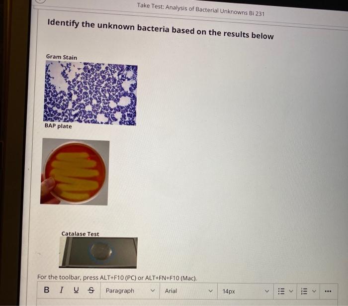 Solved Take Test: Analysis of Bacterial Unknowns Bi 231 כו | Chegg.com