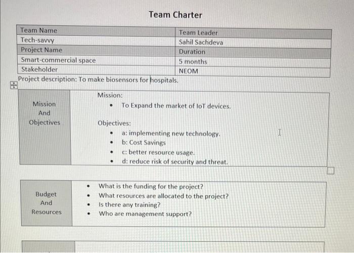 Solved create a team charter for the IT software company for | Chegg.com