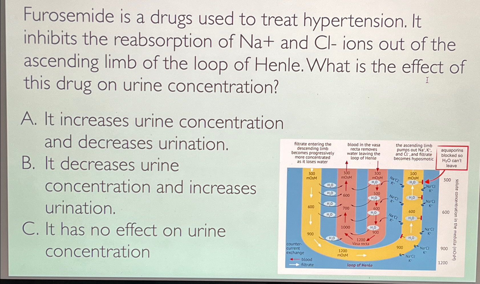 Solved Furosemide is a drugs used to treat hypertension. It | Chegg.com