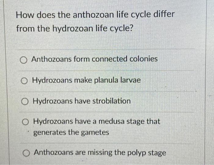 Solved How does the anthozoan life cycle differ from the | Chegg.com