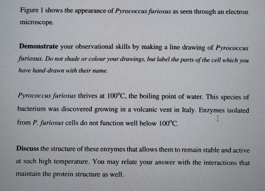 Solved Figure 1 shows the appearance of Pyrococcus furiosus | Chegg.com