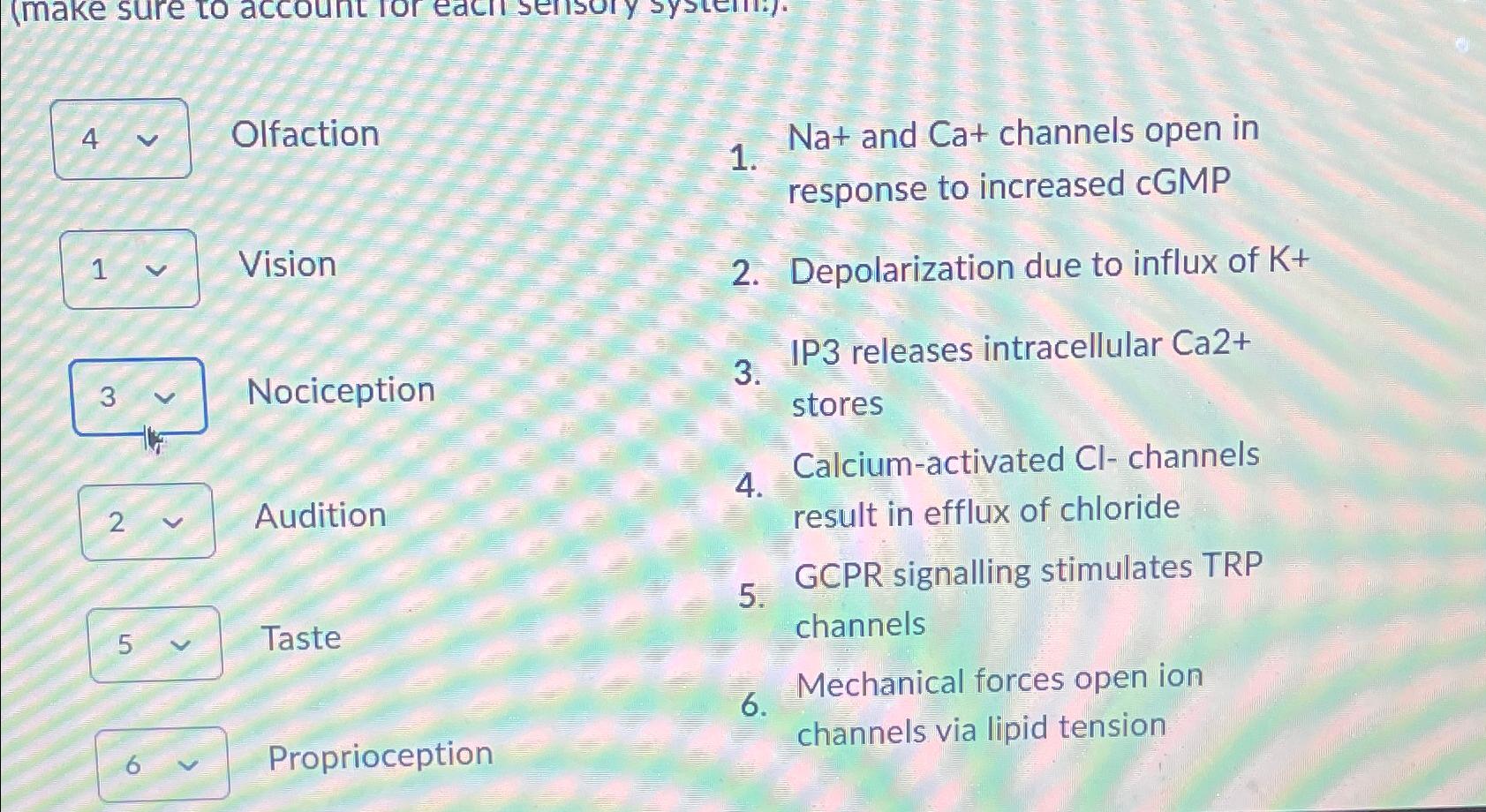 Solved OlfactionNa+ ﻿and Ca+ ﻿channels open in response to | Chegg.com