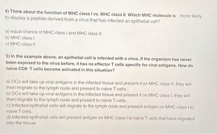 Solved 4) Think about the function of MHC class I vs. MHC | Chegg.com