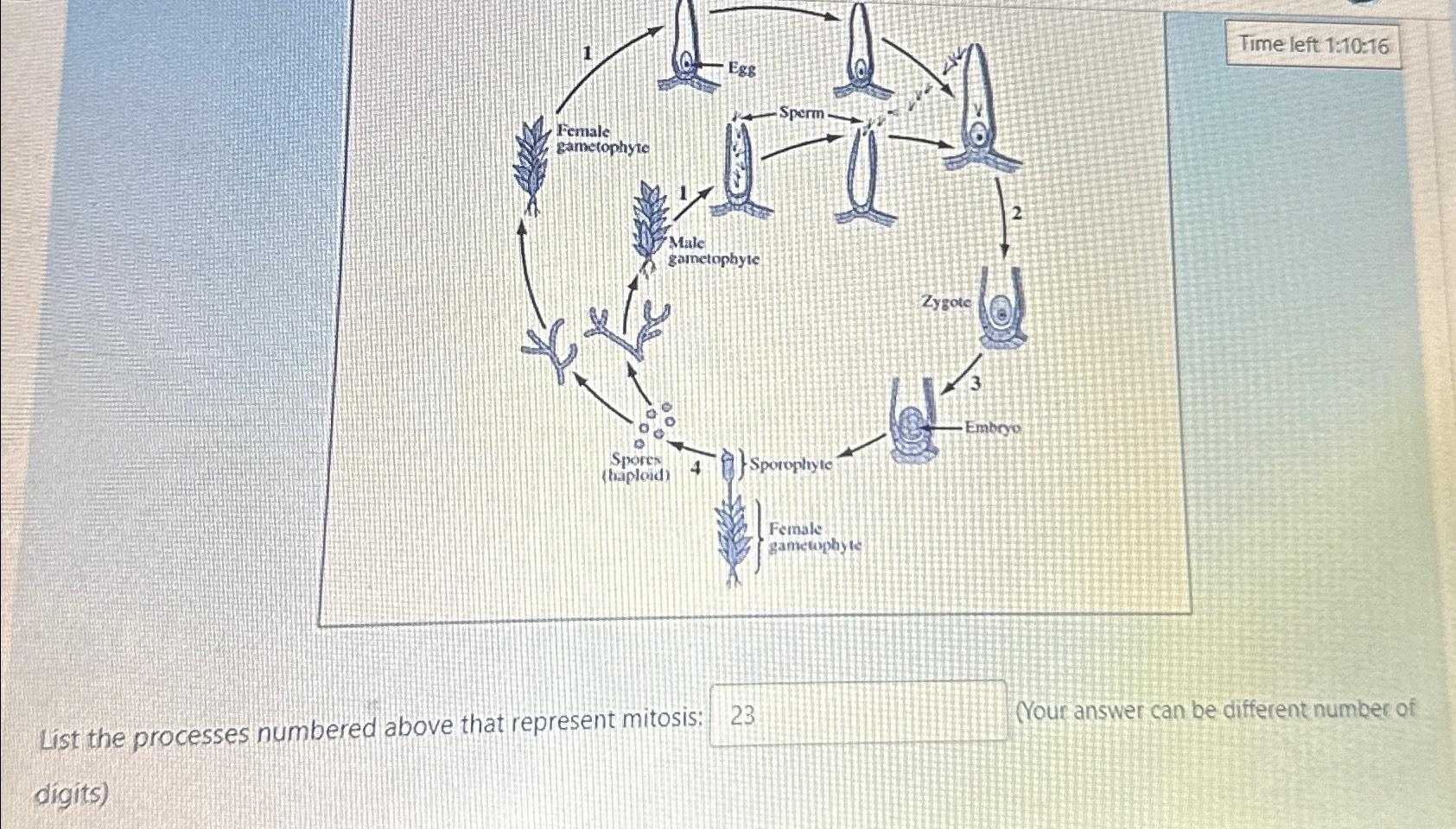 Solved List the processes numbered above that represent | Chegg.com