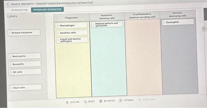 INNATE IMMUNITY - CONCEPT OVERVIEW PHYSIOLOGY | Chegg.com
