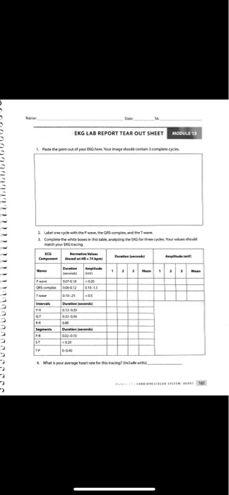 Solved EKG LAB REPORT TEAR OUT SHEET MODULE 13 1. Paste the | Chegg.com