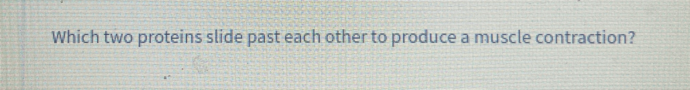 Solved Which two proteins slide past each other to produce a | Chegg.com