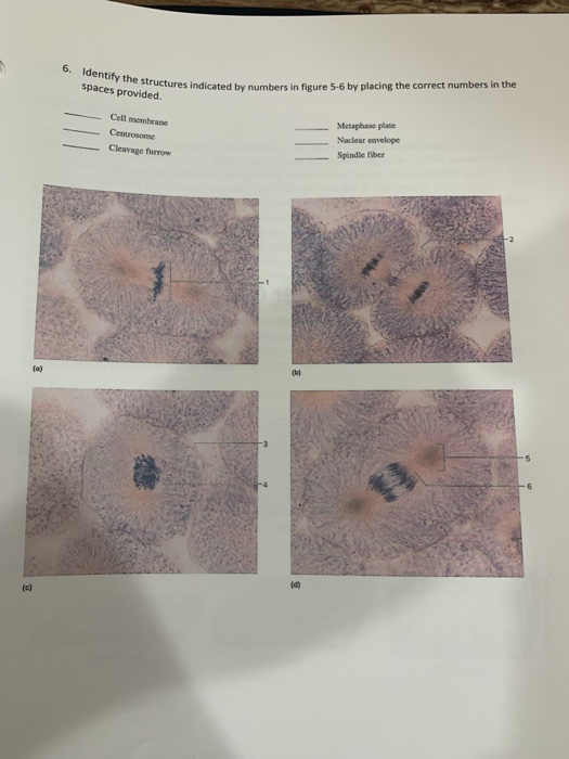 Solved 6. Identify the structure Spaces provided. | Chegg.com