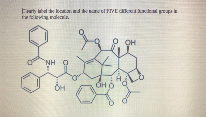 Solved Clearly label the location and the name of FIVE | Chegg.com