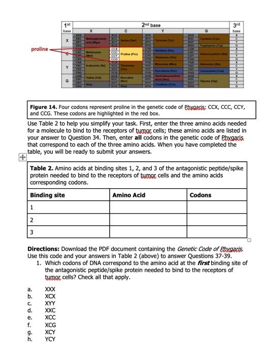 Step 3: Use a genetic code to design a sequence of | Chegg.com