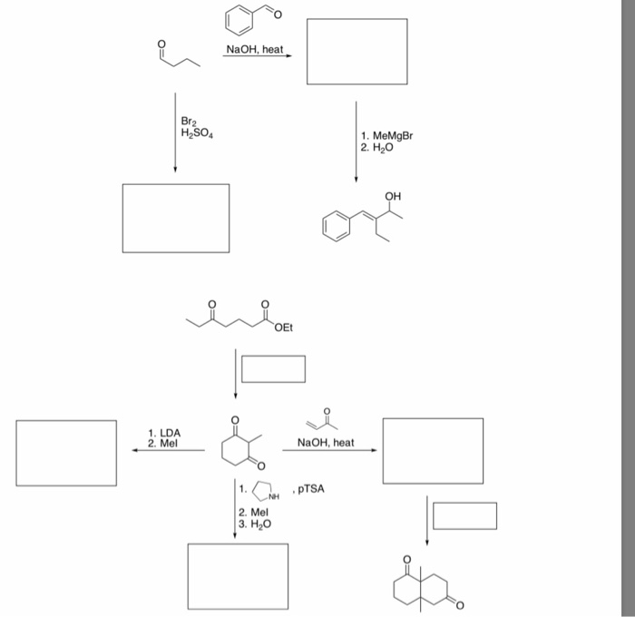Solved 1. NaNO2, H2SO4 2. HBF4 NaCNBH 1. KOH 2. Y Br NH2 | Chegg.com