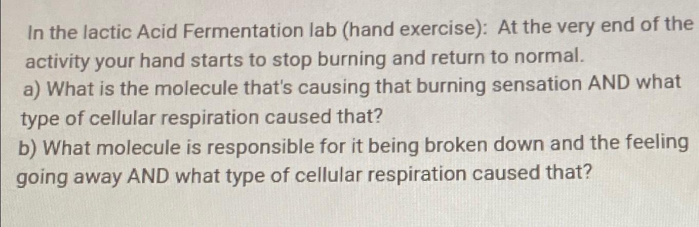 Solved In the lactic Acid Fermentation lab (hand exercise): | Chegg.com
