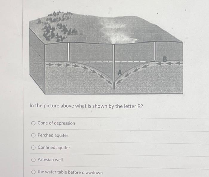 Solved In the picture above what is shown by the letter B? | Chegg.com