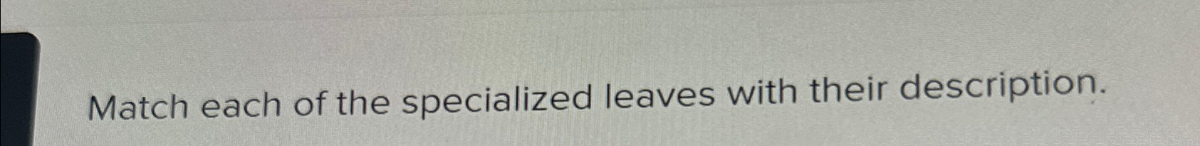 Solved Match each of the specialized leaves with their | Chegg.com