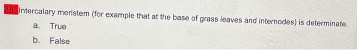 Solved 28. Intercalary meristem (for example that at the | Chegg.com